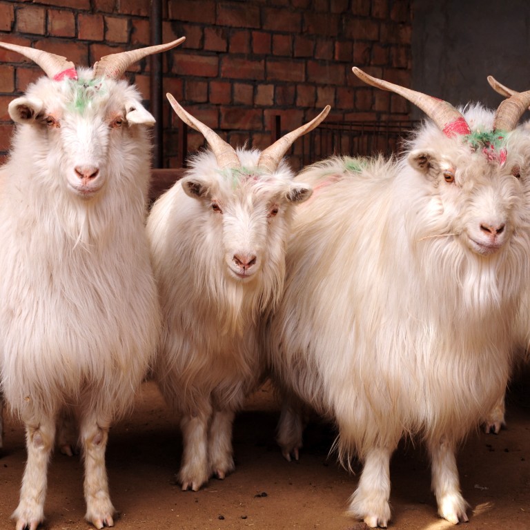 Sickness and property woes: why year of the goat might make you want to ...