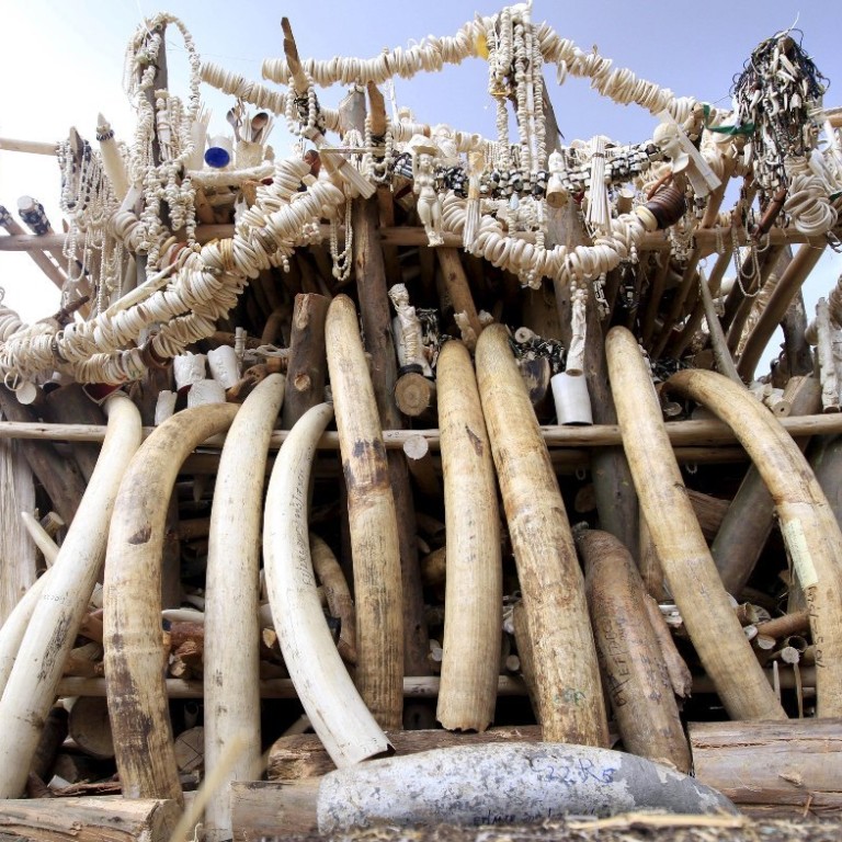 Hong Kong pupils learn about gory realities of African ivory trade ...