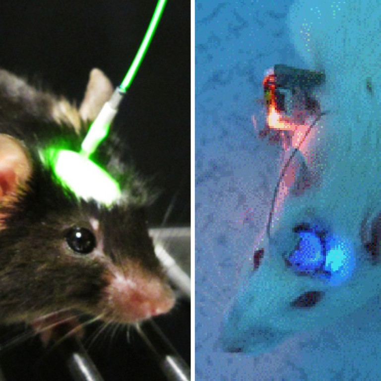 Scientists develop wearable tech for lab mice to help in brain disorder ...