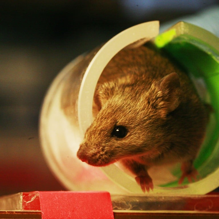 Chinese scientists edit genes to produce artificial sperm capable of ...