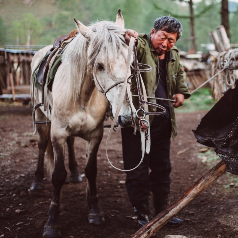 China's reindeer people: a Hongkonger helps revive lost way of life ...