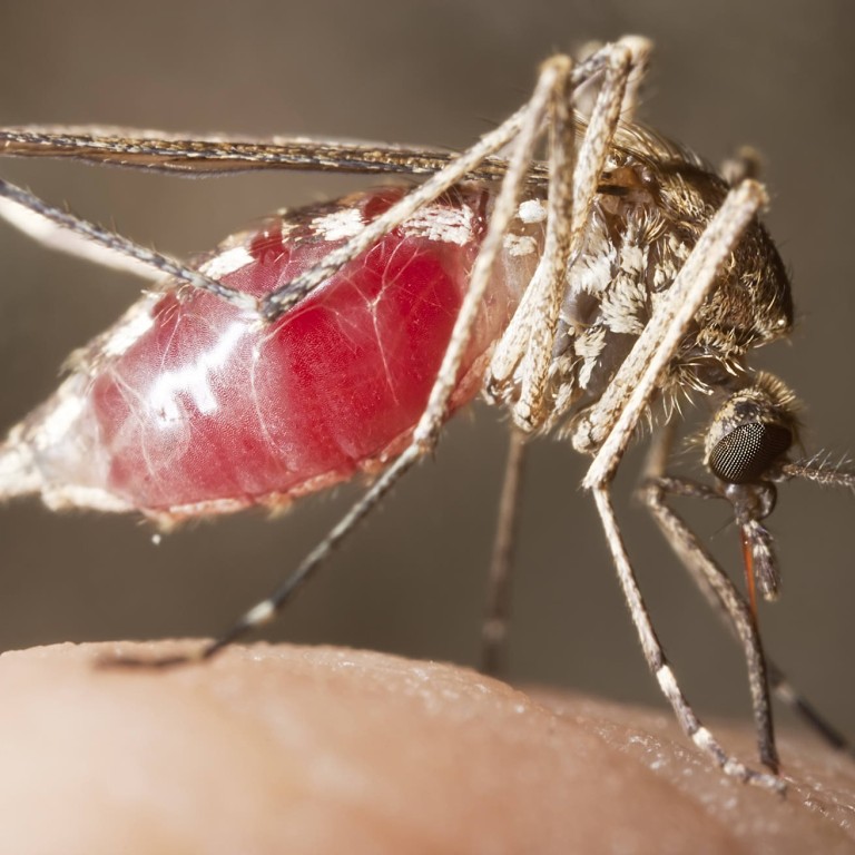 Southern Taiwan hit by dengue fever outbreak with 2,000 infections ...