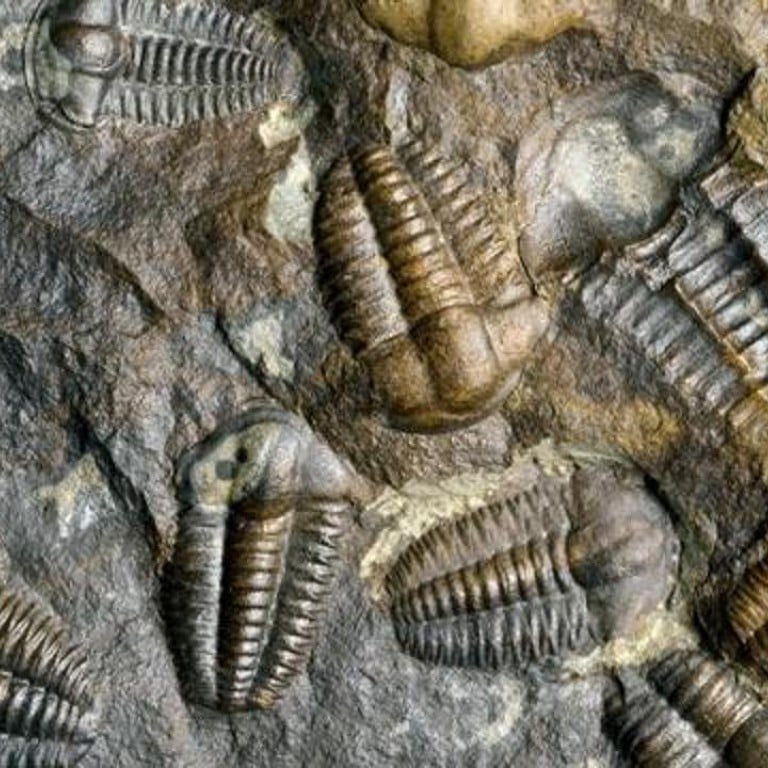 Is this the oldest and weirdest ‘kid’ on the planet? Scientists find ...