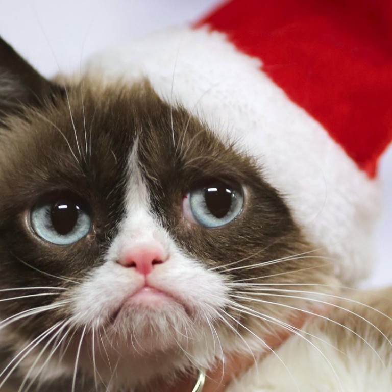 Forbes 400 ‘fat cats’ are worth as much as all 36 million US households ...