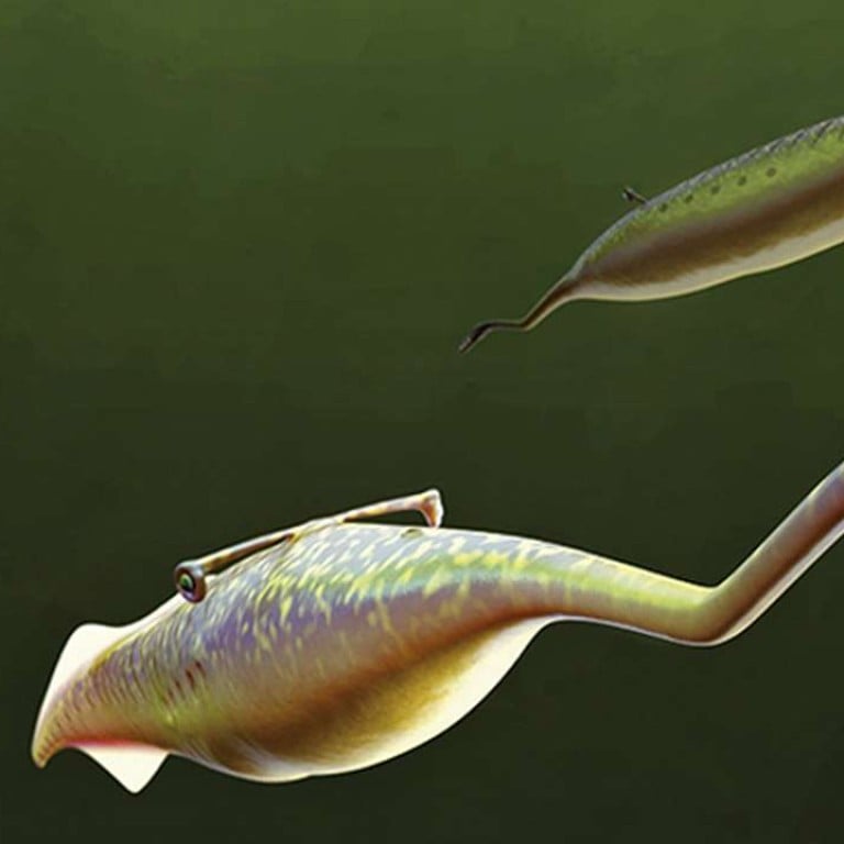 The Tully Monster, one of the weirdest creatures that ever lived, has ...