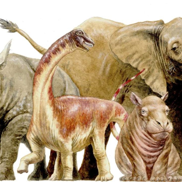 From tiny to titan: baby dinosaur fossils reveal megagrowth, from size ...