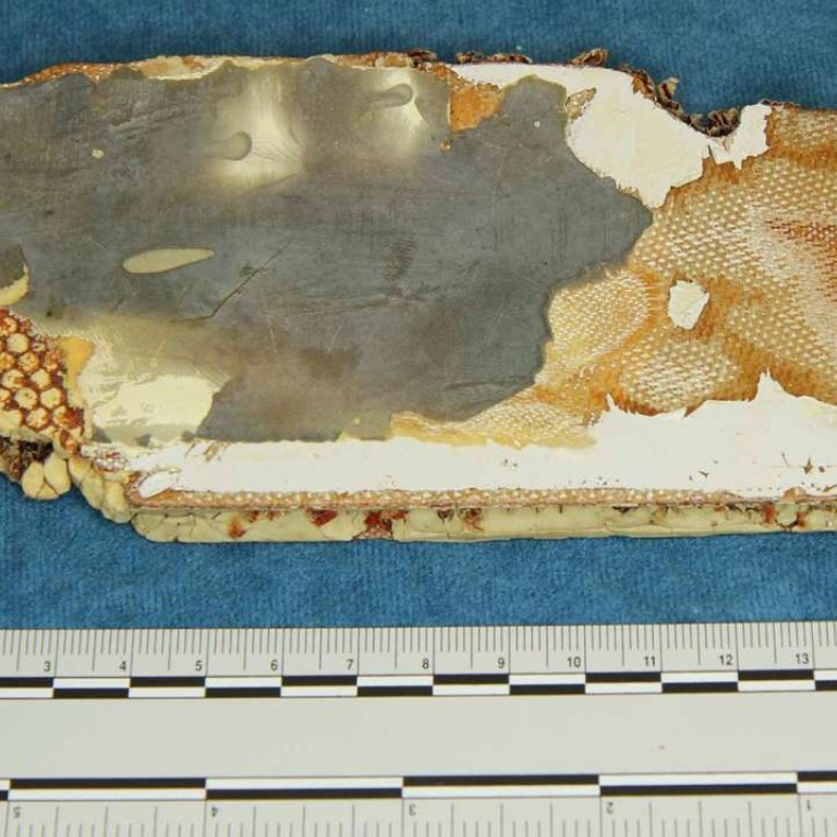 No evidence MH370 ‘debris' found in Madagascar was exposed to fire ...