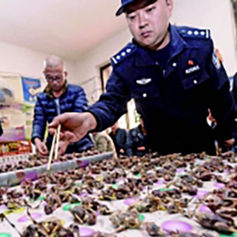 Chinese restaurant caught serving protected wild sparrow on the menu ...