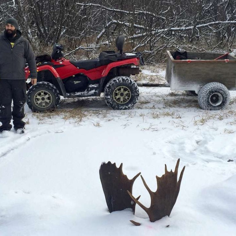 Two Moose ‘frozen In Time Mid Fight Near Remote Alaska Village South
