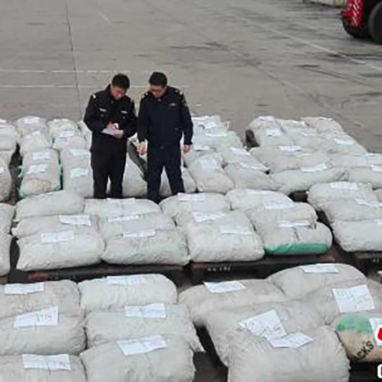 Tonnes of endangered pangolins’ scales seized in Shanghai | South China ...