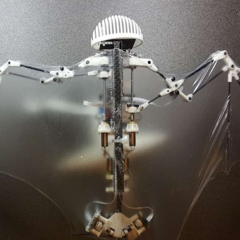 Watch: behold the bat bot, a flapping robot drone that swoops and dives ...