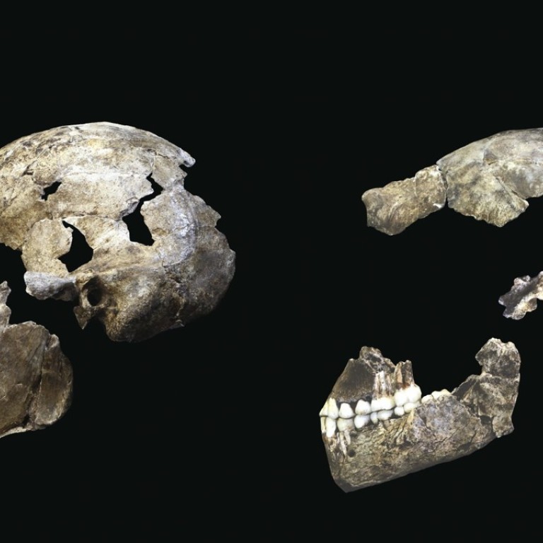 Humanity’s strange new cousin is shockingly young - and shaking up our ...