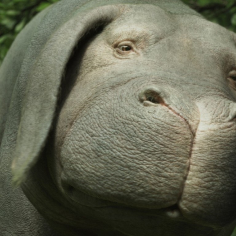 Okja’s Bong Joon-ho and all-star cast deliver a political creature ...