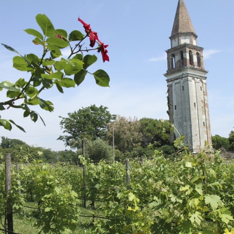 Get away from it all in Venice at luxury vineyard refuge Venissa, far ...