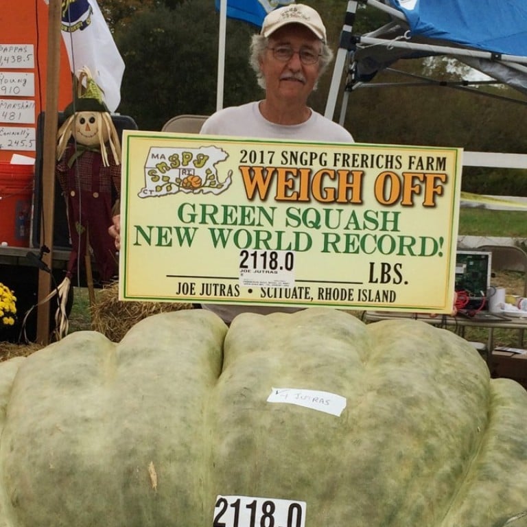 Oh my gourd: grower of 960kg squash achieves trifecta of giant ...