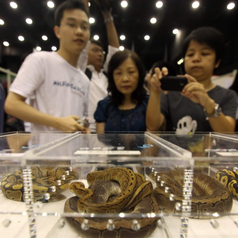 Shipments of protected African species to Asia soar, study finds ...