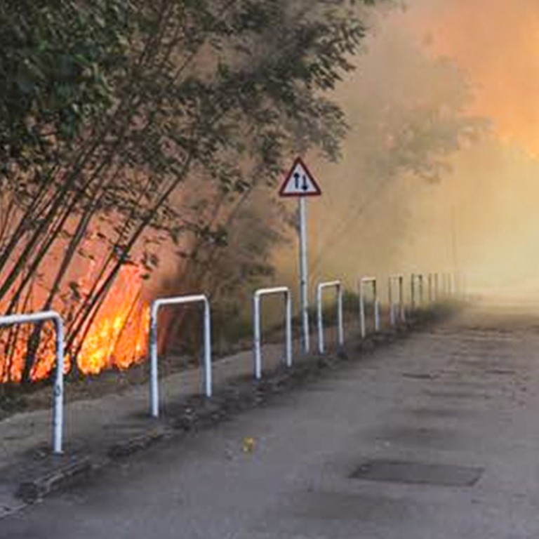 Two fires in two days at Hong Kong wetland ‘suspicious’ | South China ...