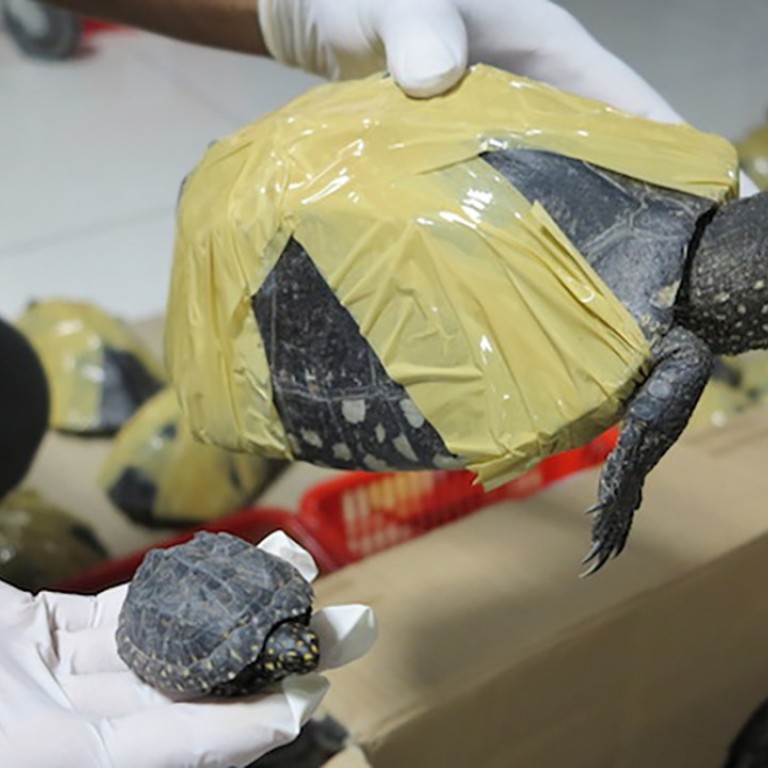 Hong Kong is second largest market in the world for smuggled endangered ...