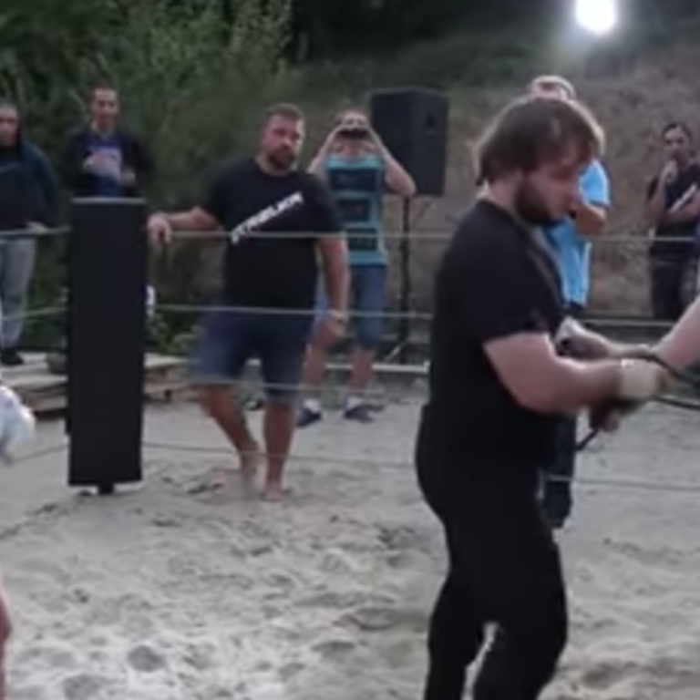 Fifa World Cup: Russia football hooligans nowhere to be seen, but ...