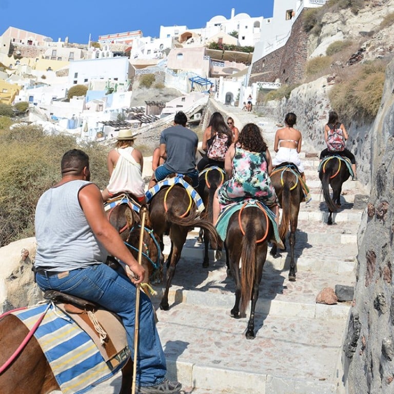 Donkey rides: think twice before taking one – animal abuse for our ...