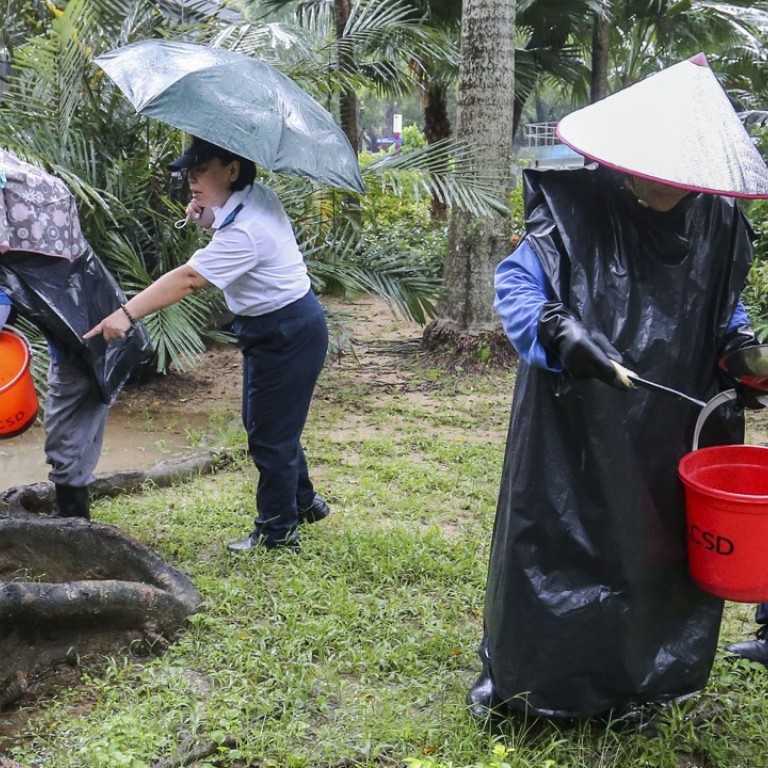 Hong Kong’s dengue fever outbreak shows mosquito control must start ...