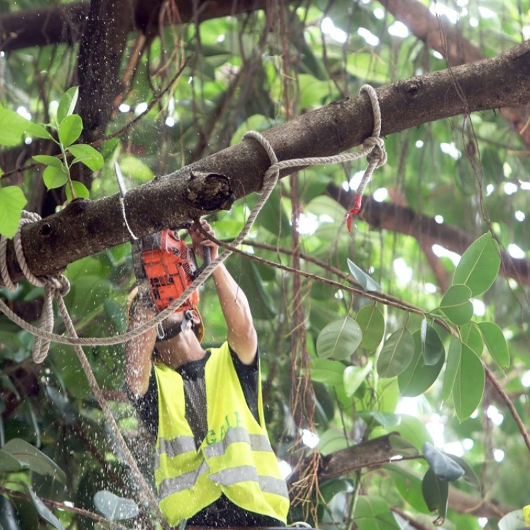 Tragedy of Indonesian domestic helper in Hong Kong killed by decaying ...