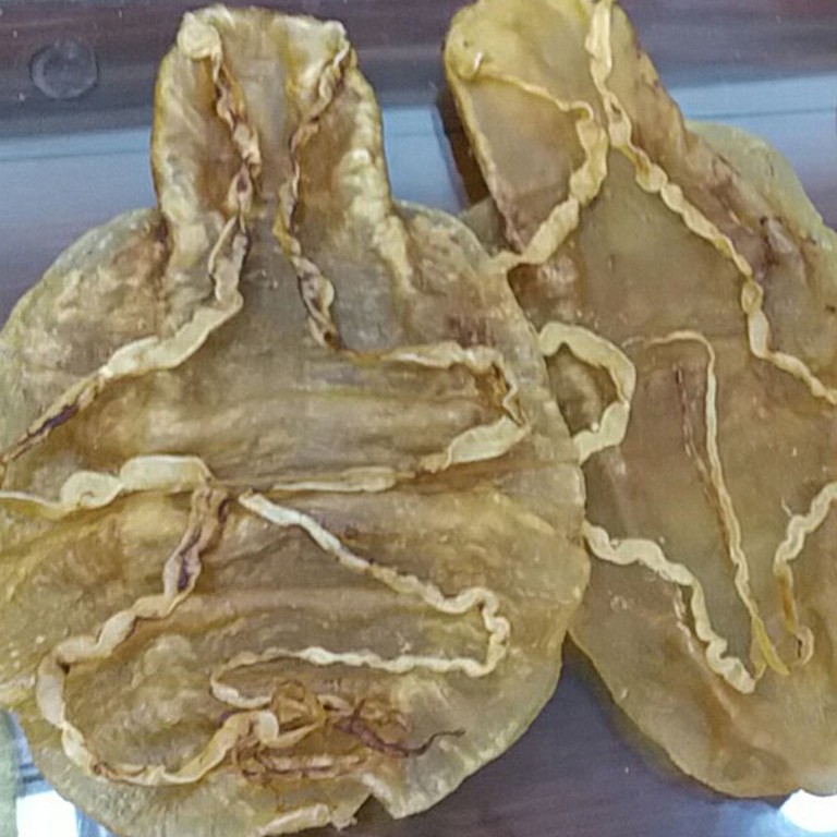 China nets 11 people for smuggling US$119 million worth of rare totoaba ...