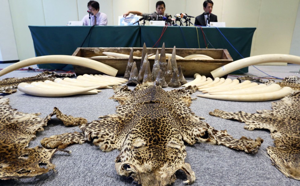 Huge tusks and skins haul destined for Hong Kong? | South China Morning ...