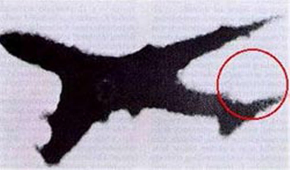 Remembering Flight 123, deadliest single-plane crash in history – and ...