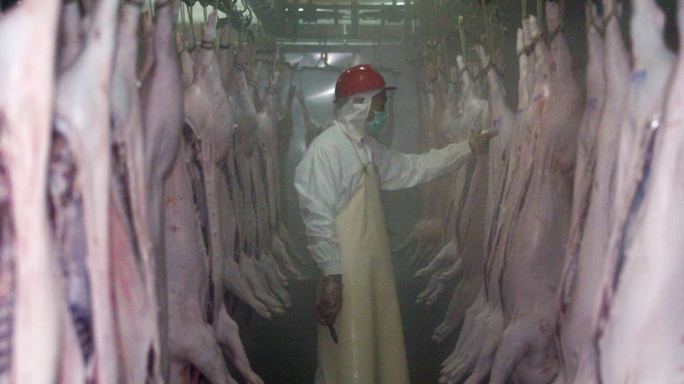 They suffered nightmarish deaths, trapped in giant freezers. So why isn ...