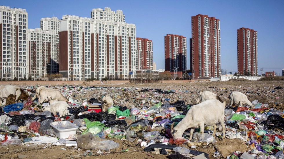 Filmmaker behind Beijing waste exposé turns attention to trash trade ...