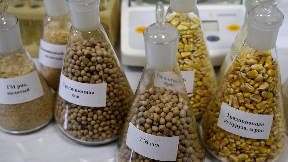 China approves first GMO crop imports from United States in 18 months ...