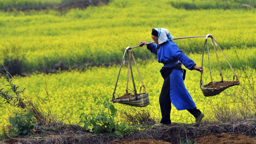 Xi Jinping turns to Mao Zedong-era system to lift millions of China’s ...