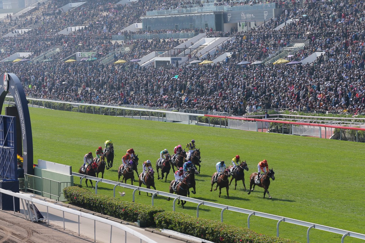 2014-15 Hong Kong racing season: Numbers tell the tale of a record term ...
