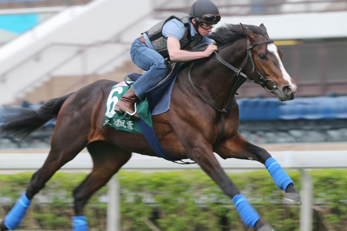 Ryan Moore great coup for Jockey Club and racing fans | HK Racing ...