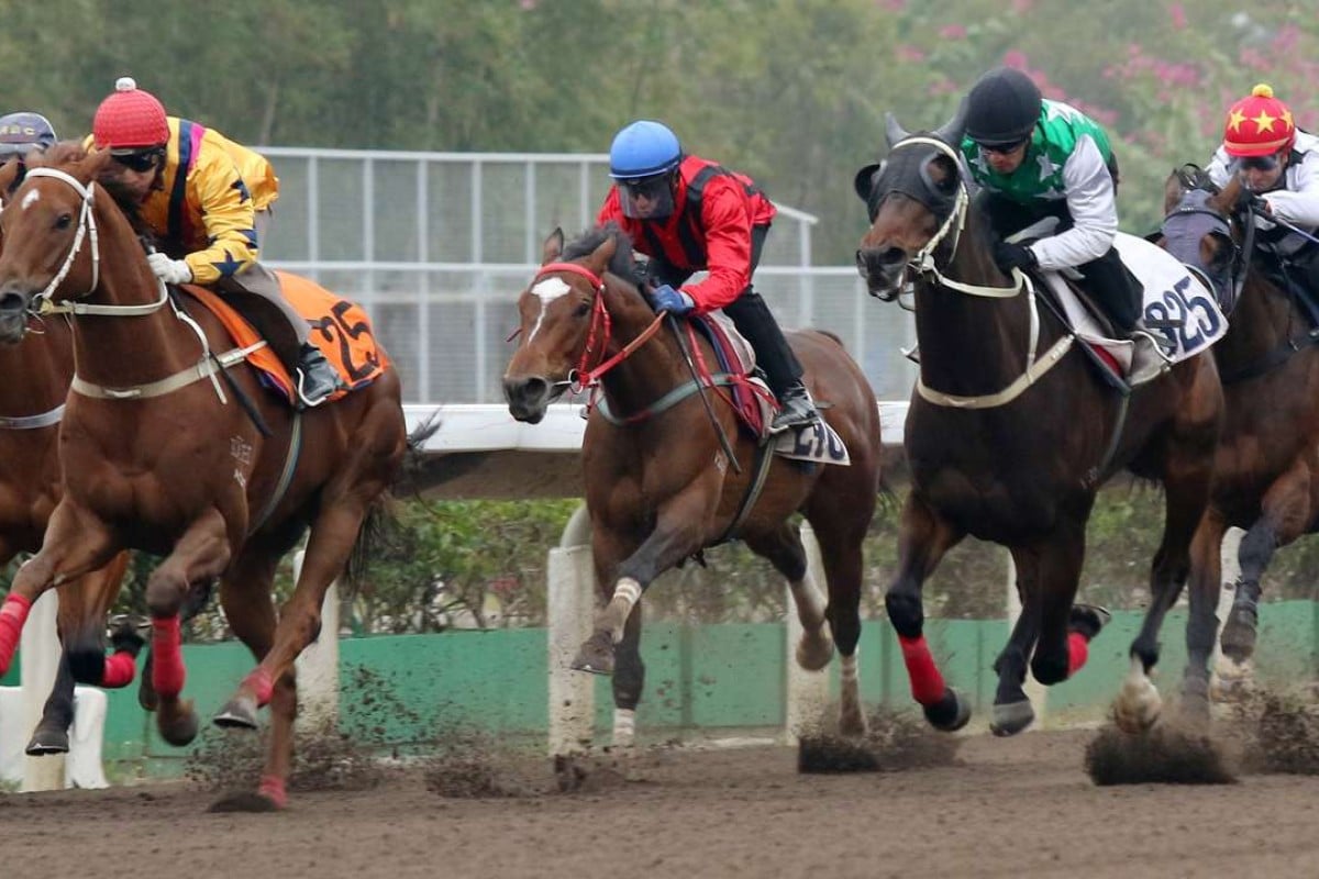 Pakistan Star transforms from slow starter to bouncing out of the ...