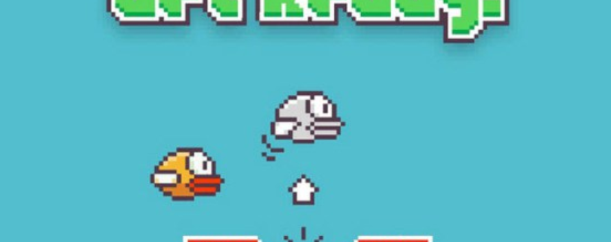 Flappy Bird Get Ready Screen