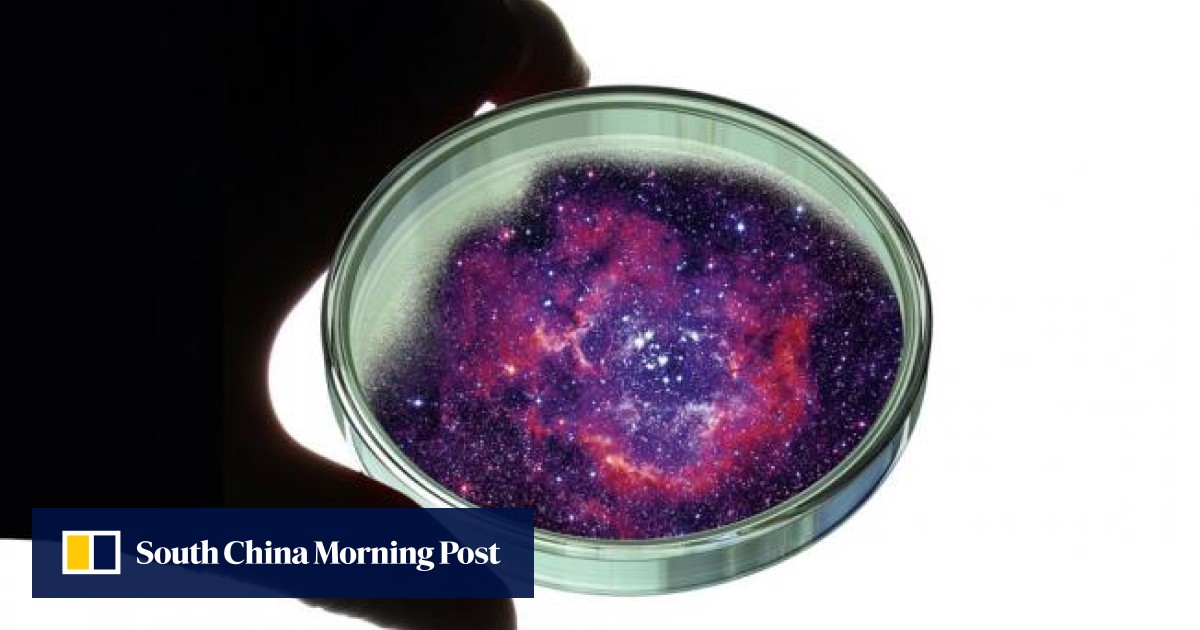 Alien life under the microscope | South China Morning Post