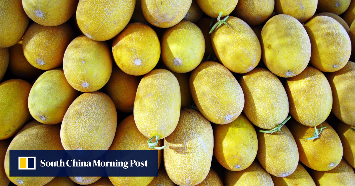 So near, yet so feared: the melons of Xinjiang | South China Morning Post