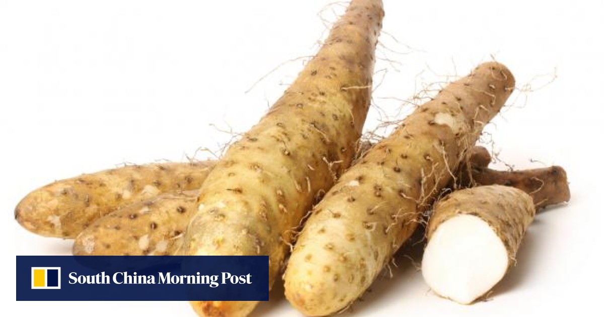 Seasons: therefore I yam | South China Morning Post