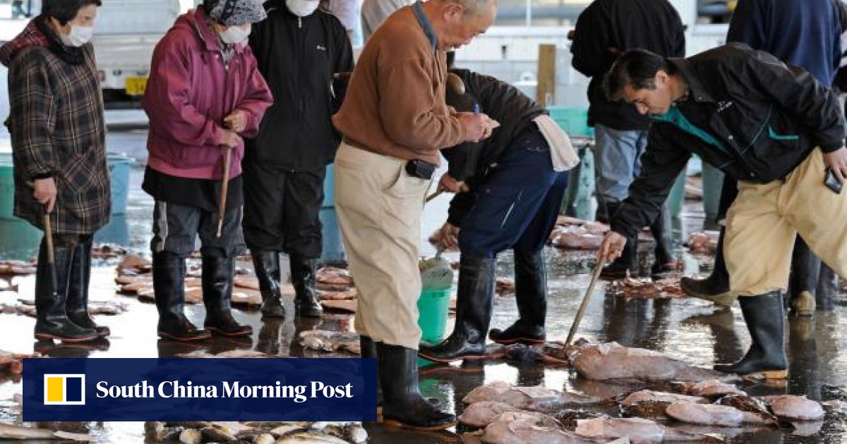 Japan's fish still radioactive from Fukushima nuclear disaster | South ...