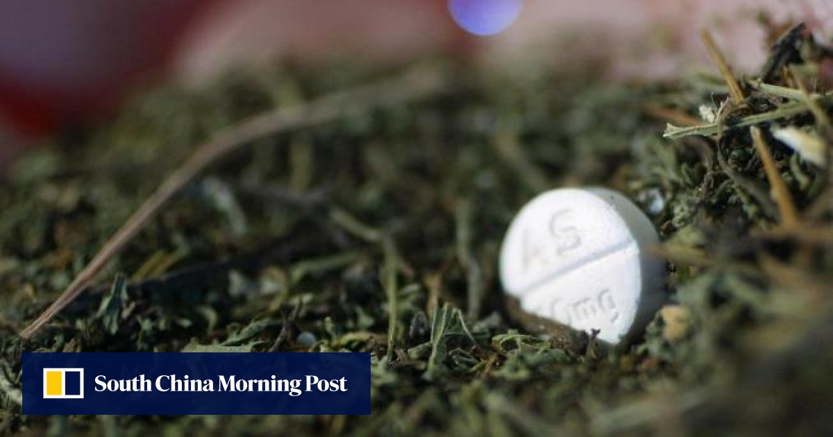 The parasite strikes back | South China Morning Post