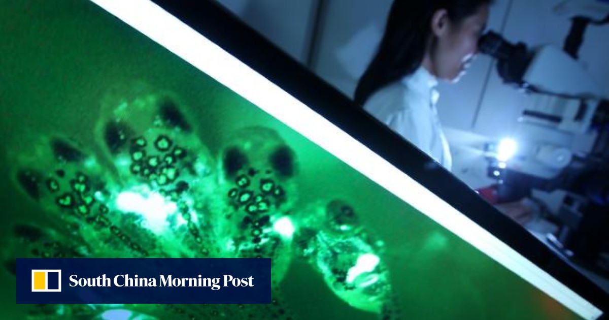 How much do man-made chemicals affect our health? | South China Morning ...