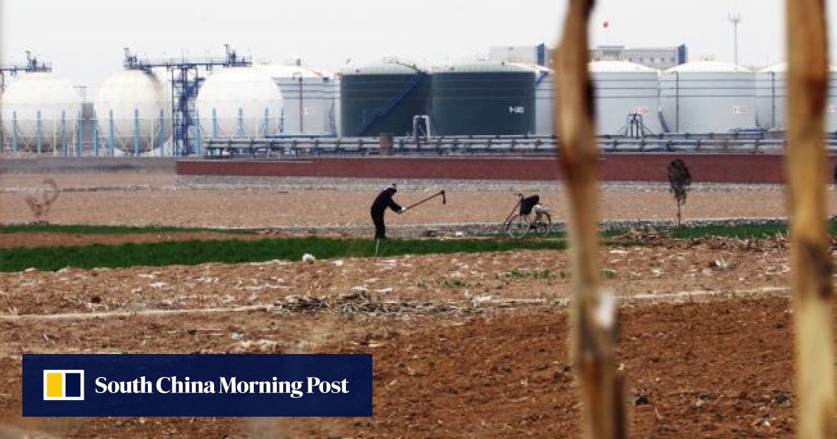 Toll of cancer misery rises in Shandong's petrochemical villages ...