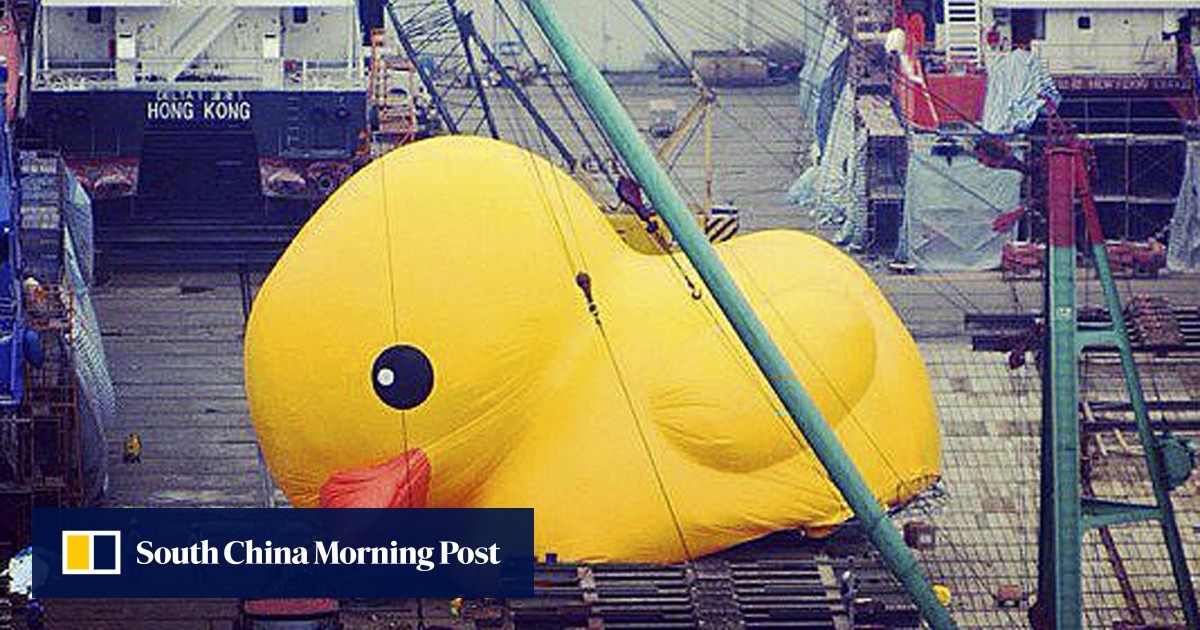 Florentijn Hofman's Rubber Duck comes to Hong Kong: no need to avoid ...