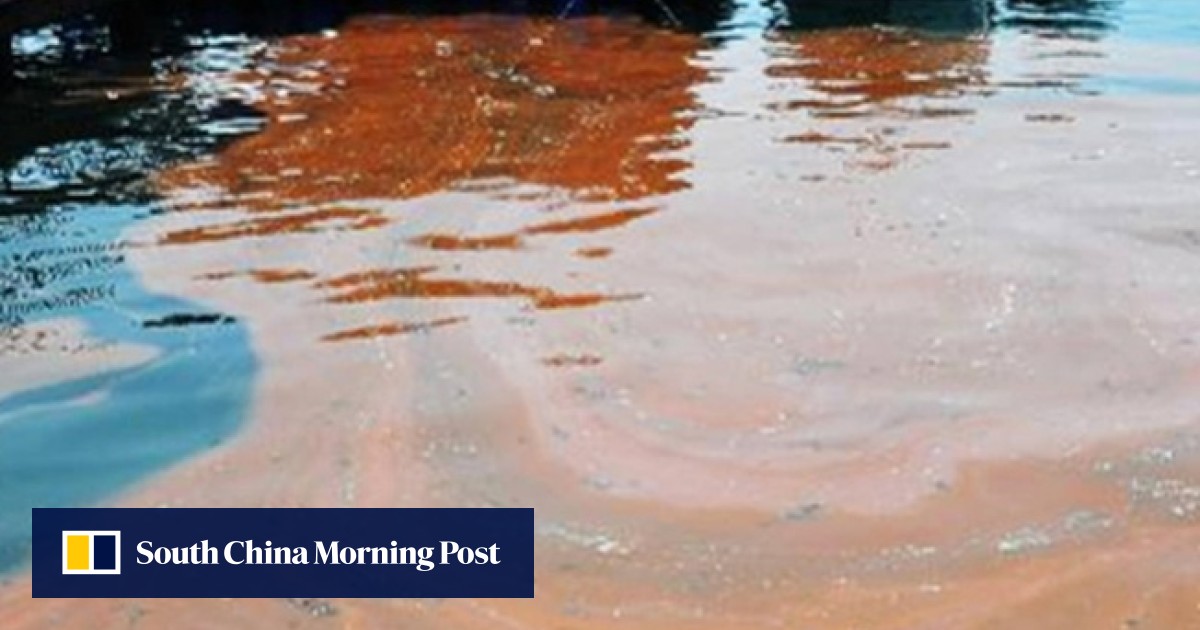 Guangdong coastal water quality is declining, with worst areas around ...