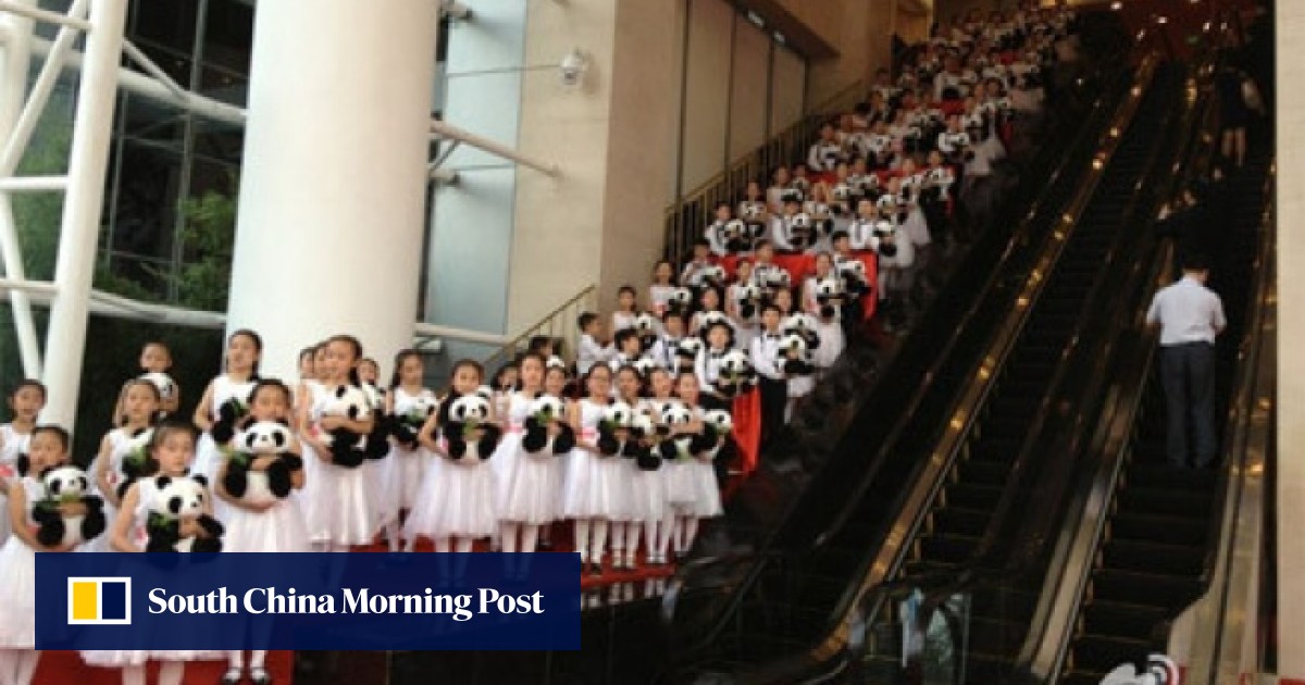 Chengdu's Fortune Global Forum stuns guest with 'North Korean-style ...