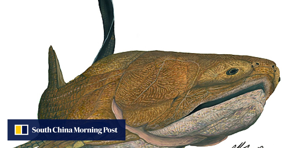 Fossil fish find in Yunnan fills in evolutionary picture | South China ...