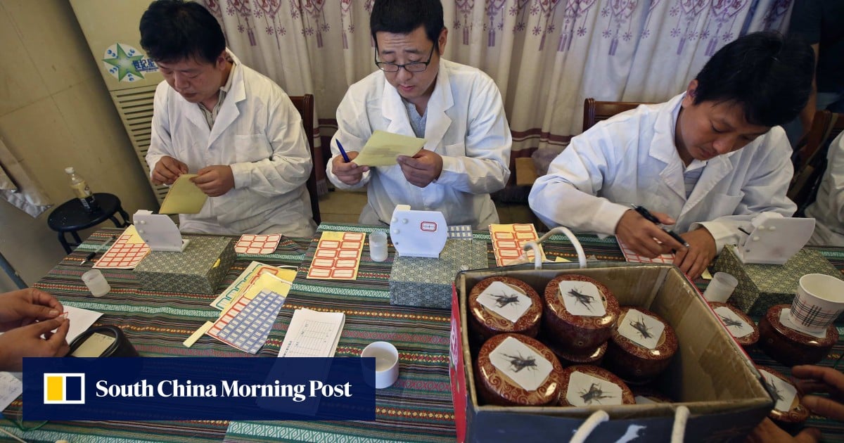 Crickets battle it out at Chinese championships | South China Morning Post