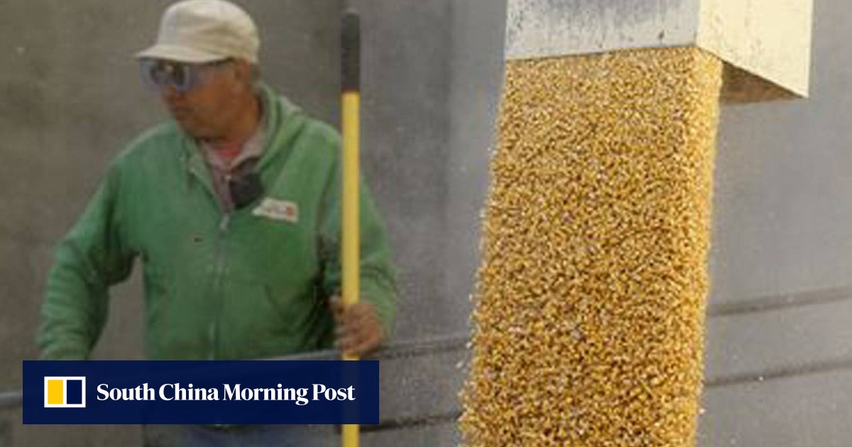 Prosecutors in US Midwest charge six Chinese with plot to steal seed ...